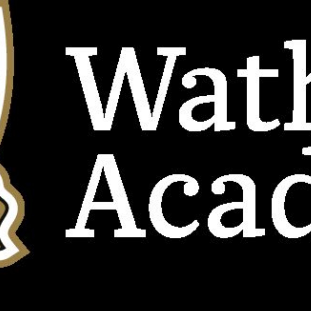 Wath Academy - February Half Term - Y11 Intervention
